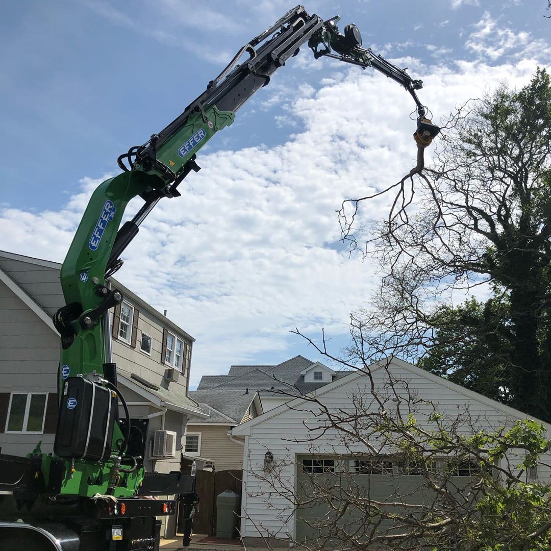 Tree Services - Falkinburg Tree Expert Company
